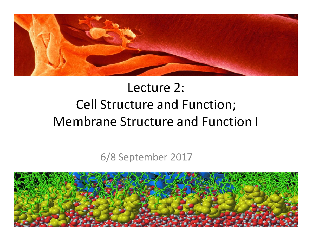 Cell Structure and Function; - Lecture 2: Cell Structure and Function; Membrane Structure and ...