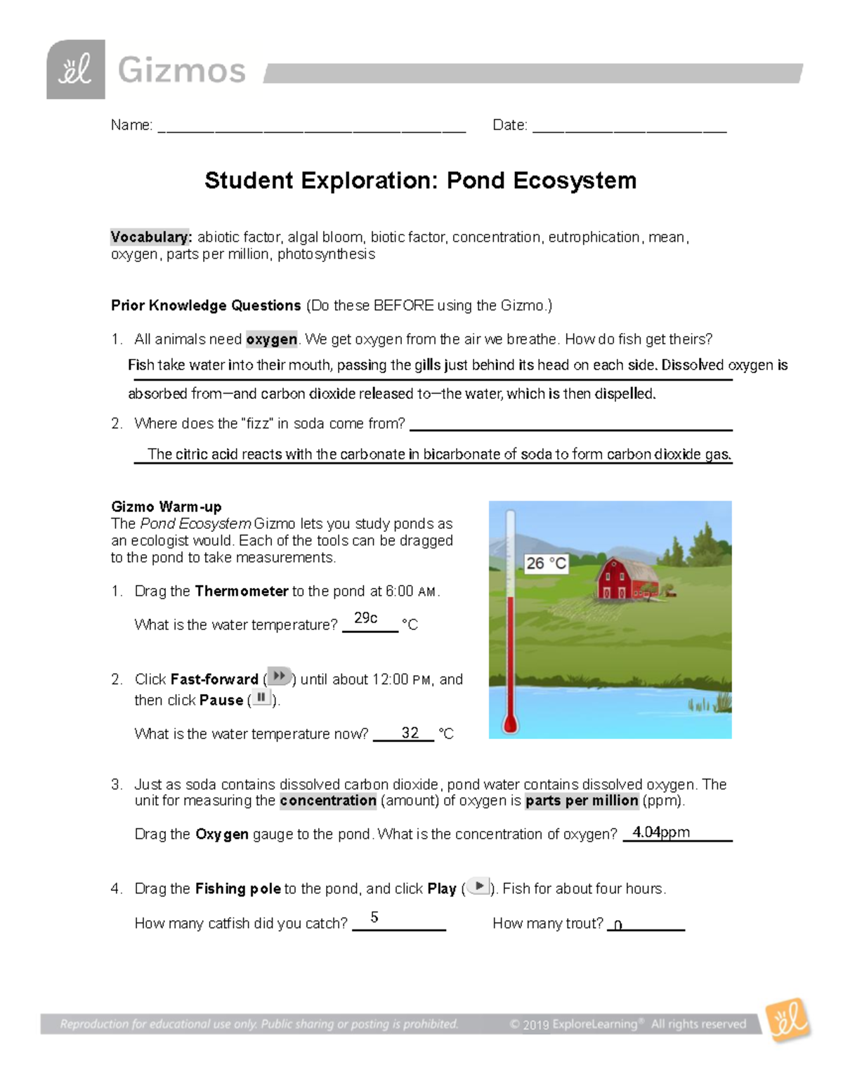 Pond Ecosystem-Student Exploration worksheet - Name