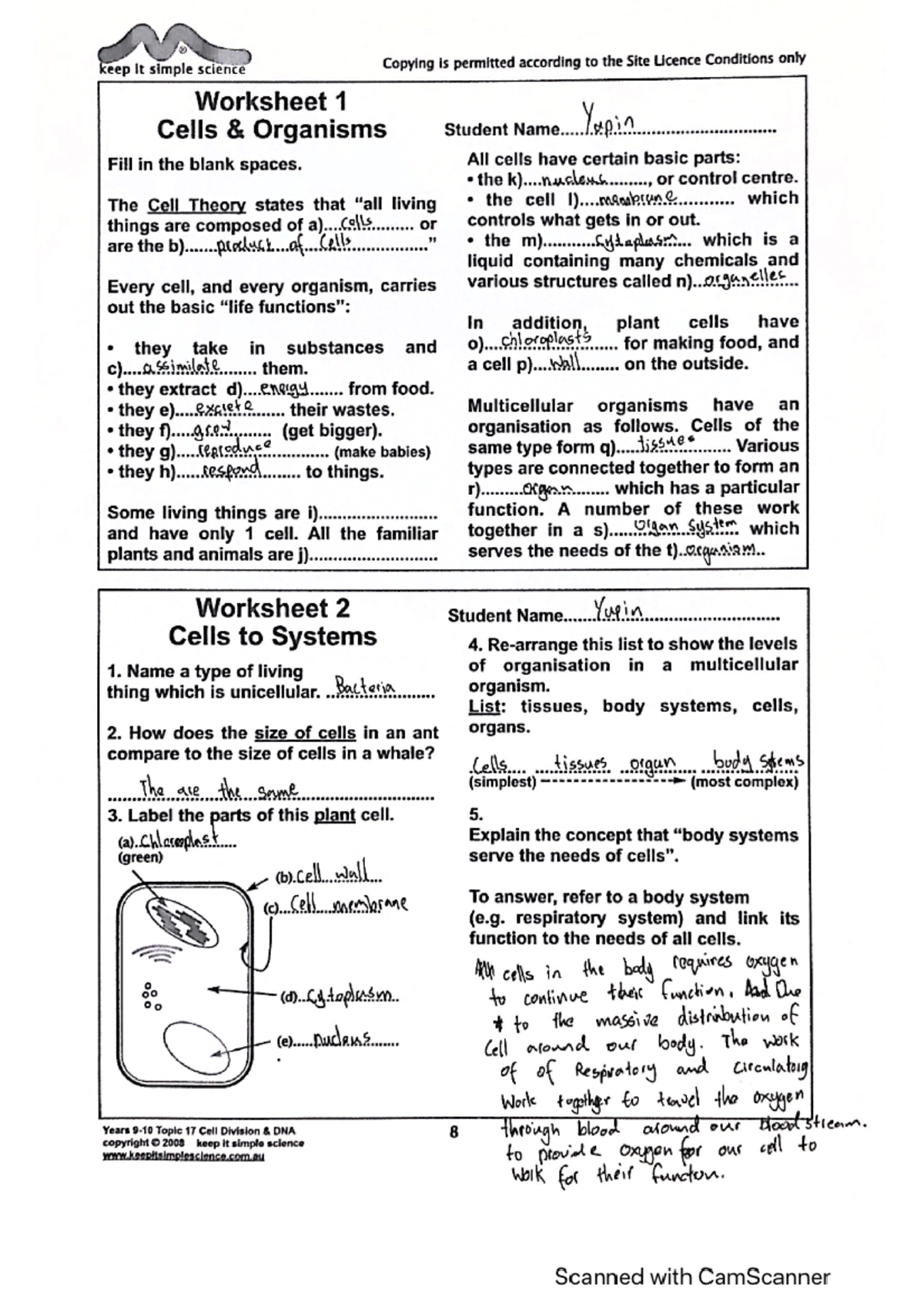 Cell structure - Studocu
