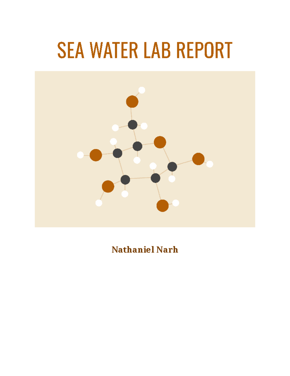 Seawater Lab Report - Google Docs - SEA WATER LAB REPORT Nathaniel Narh ...