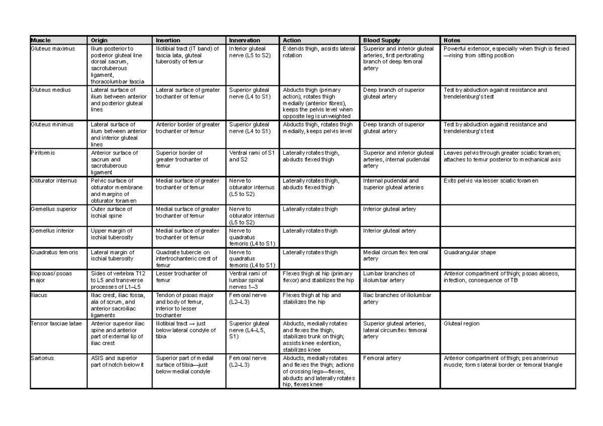 Anatomy Chart 2 - Muscle Gluteus maximus Origin Ilium posterior to ...