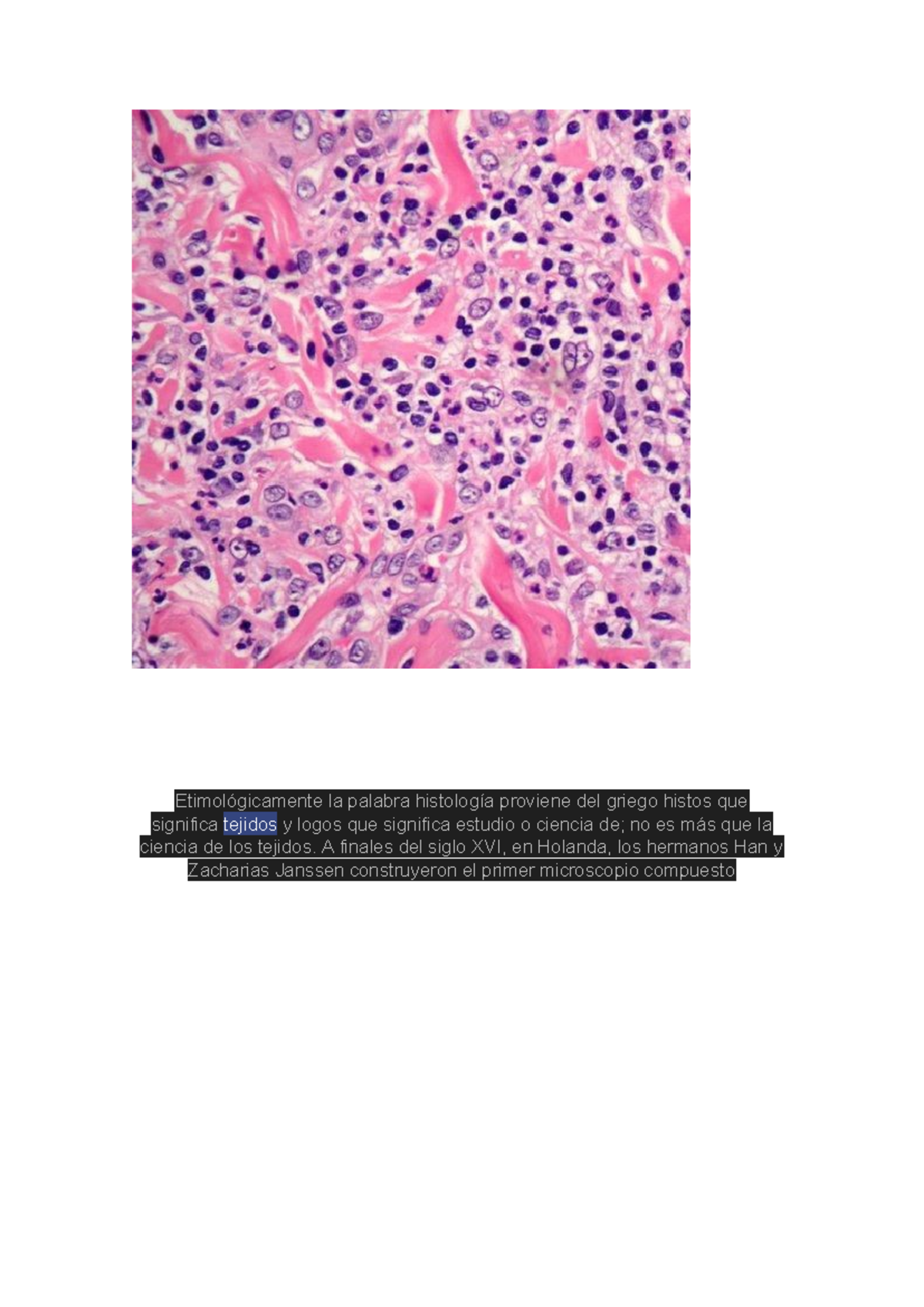 Histologia imagen - Histología - Etimológicamente la palabra histología ...