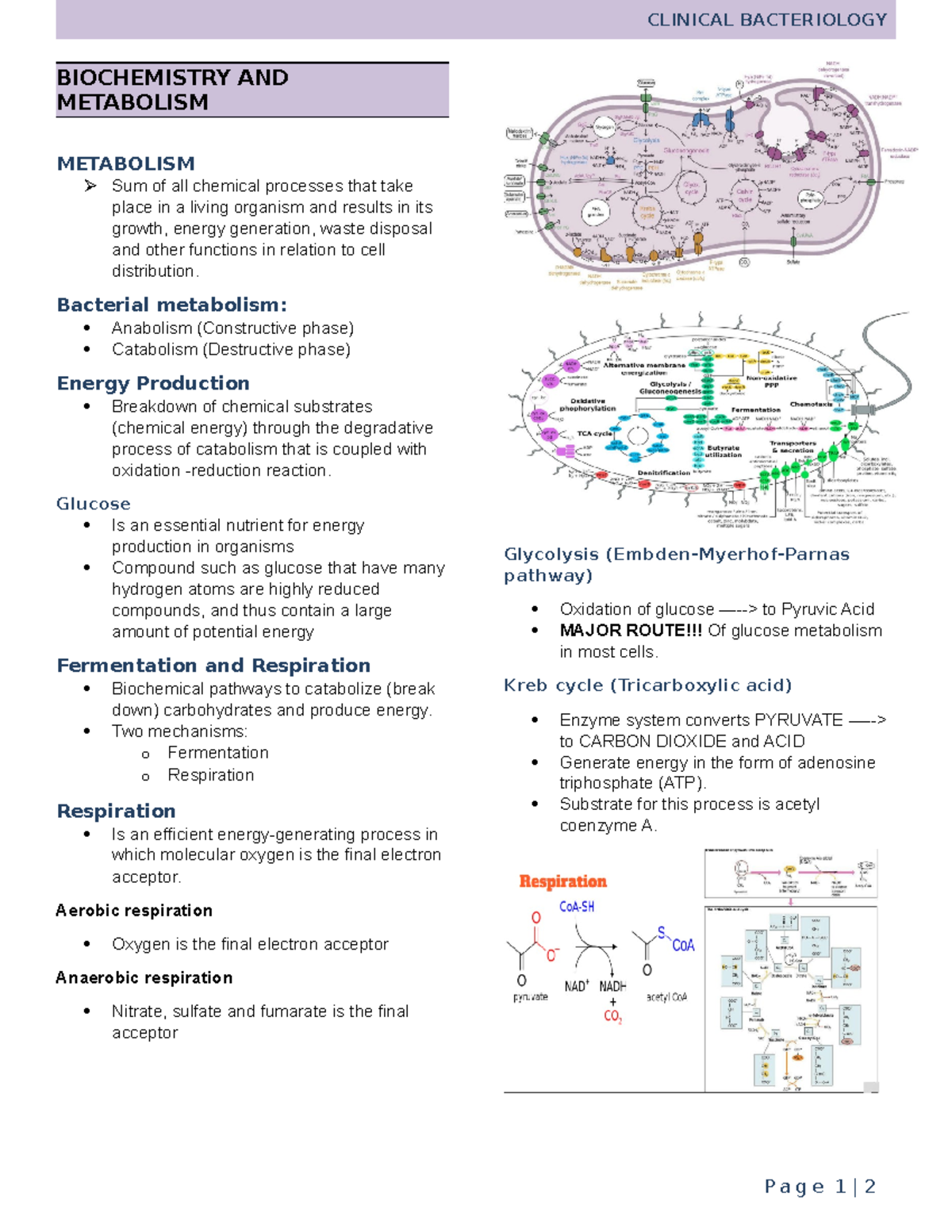 Biochemistry AND Metabolism - Bacteriology Lecture - OLFU - Studocu