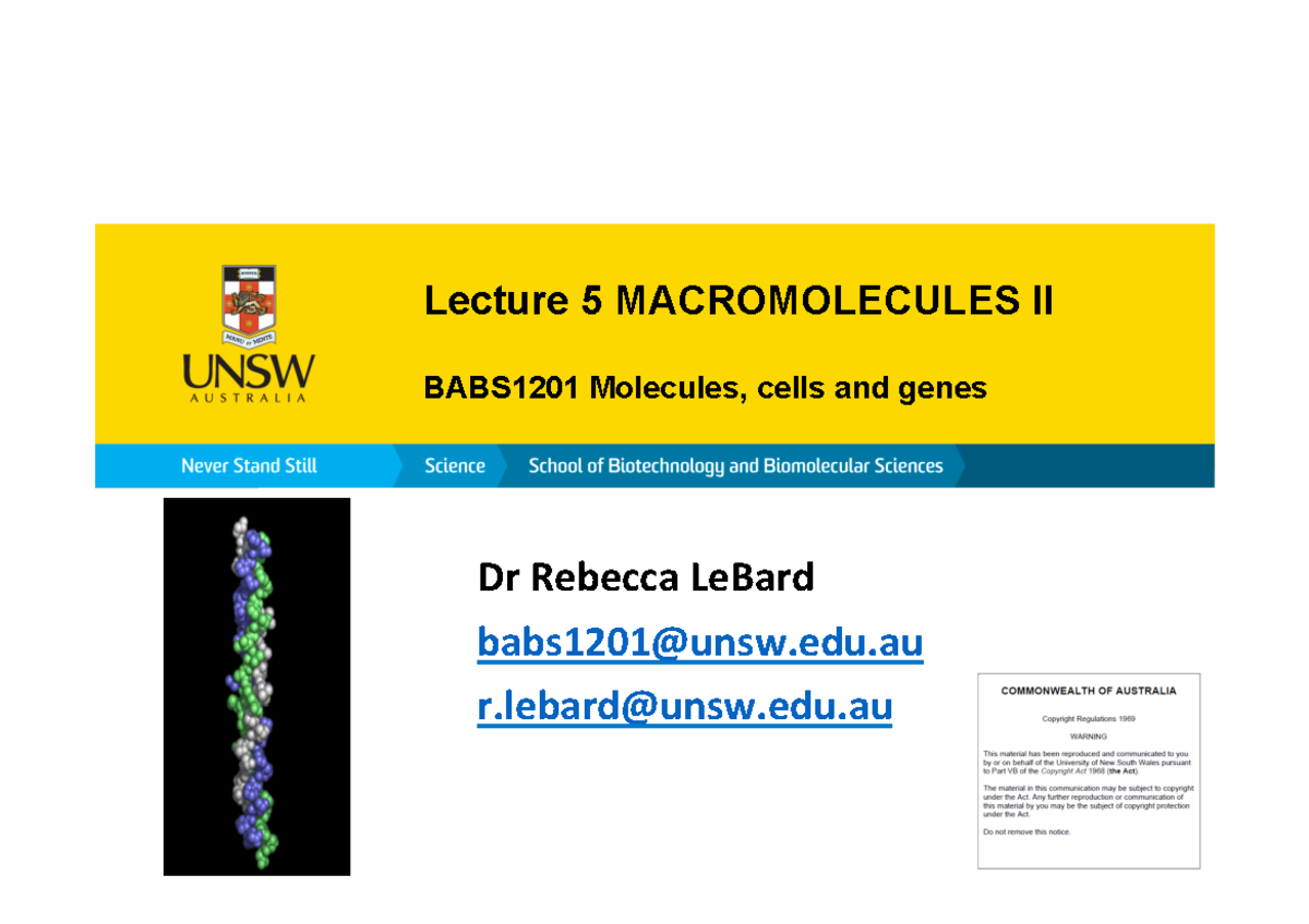 BABS1201 2018 Lecture 5 Macromolecules II - Lecture 5 MACROMOLECULES II ...
