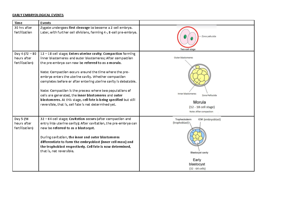 Kupdf - this is the best book - EARLY EMBRYOLOGICAL EVENTS Time Events ...