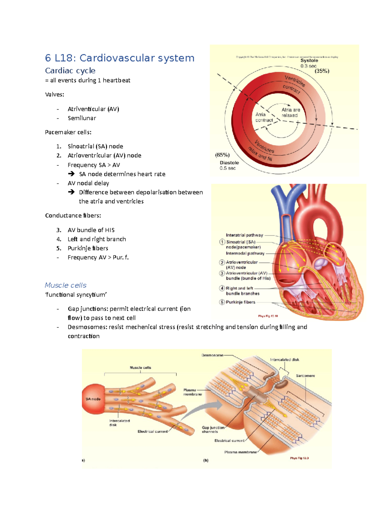 6 L18 Cardiovascular system - 6 L18: Cardiovascular system Cardiac ...