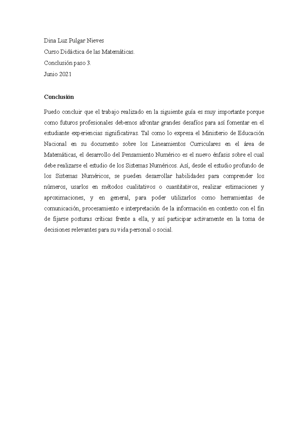 Conclusion paso 3 - Dina Luz Pulgar Nieves Curso Didáctica de las ...