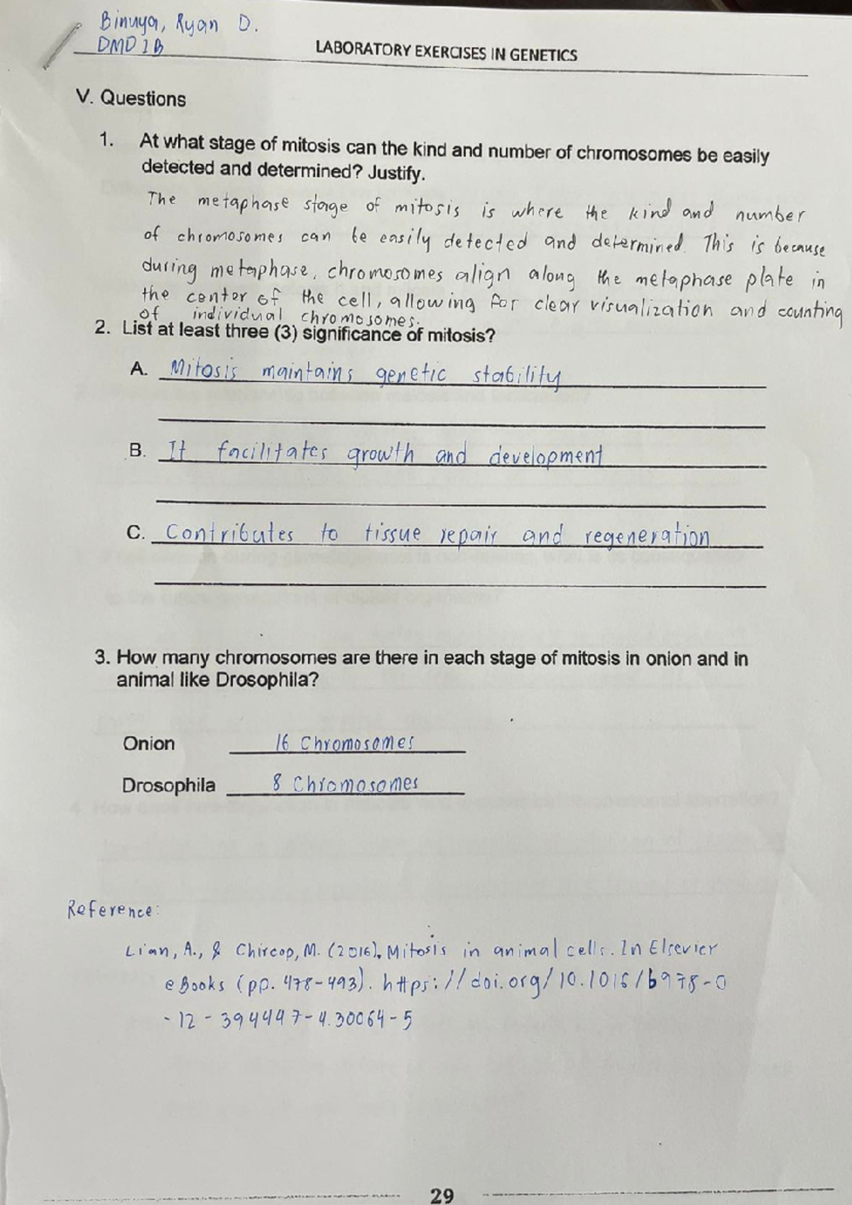 Binuya Mitosis and Meiosis Guide Questions - BS Psychology - Studocu