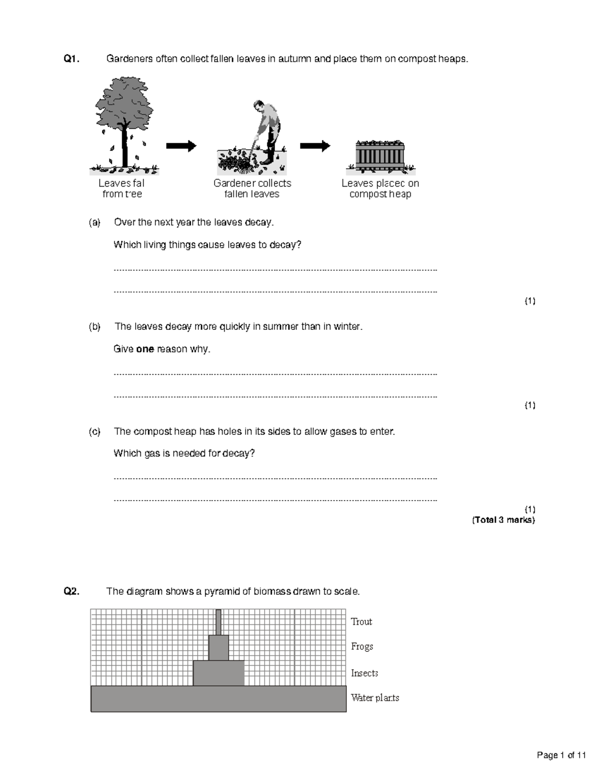 B1 - Exam questions on the energy and biomass module in Molec. Cell ...