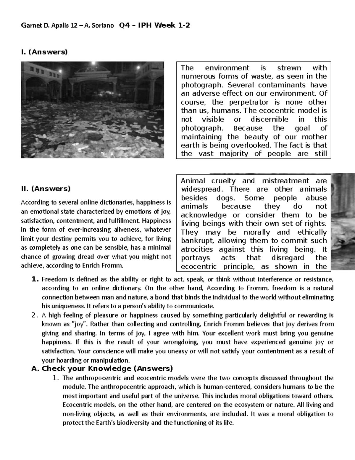 IPH - 1-2 (Answers) - Based on the gathered data it seems like the ...