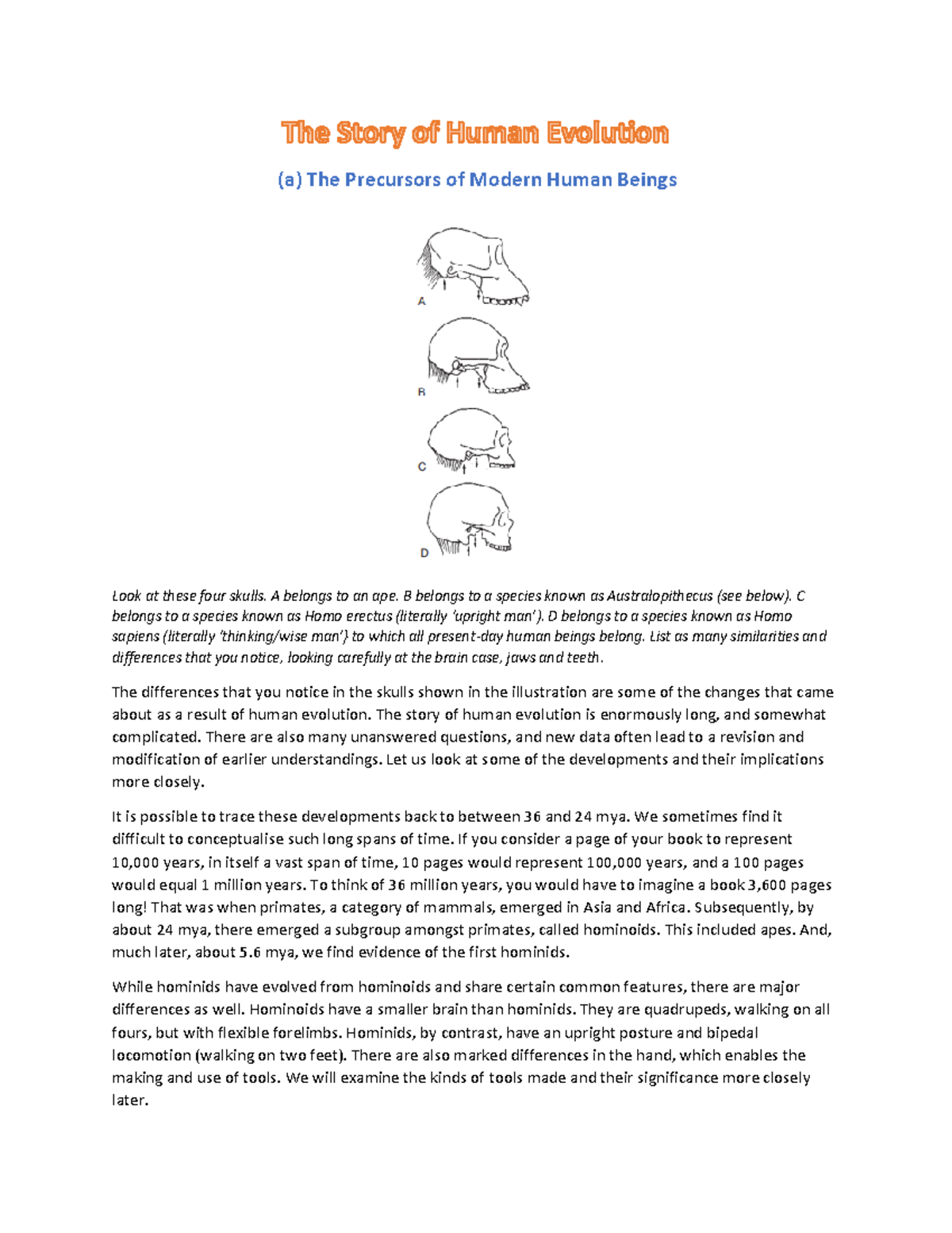 The Story of Human Evolution (a) The Precursors of Modern Human Beings ...