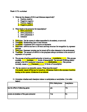 mRNA Transcription Worksheet Answer Key - BIO 160 - Studocu