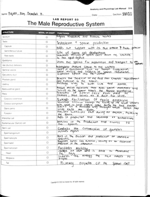 Bullets in medical surgical nursing - MEDICAL – SURGICAL NURSING ...
