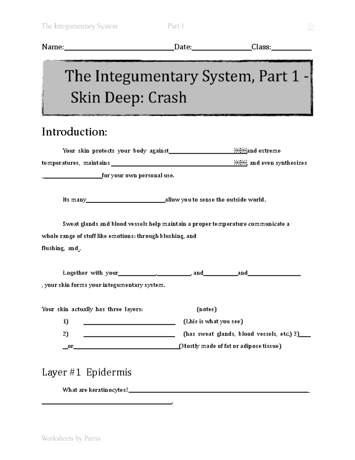 The Integumentary System copy - Name: Date: Class: Introduction: Your ...