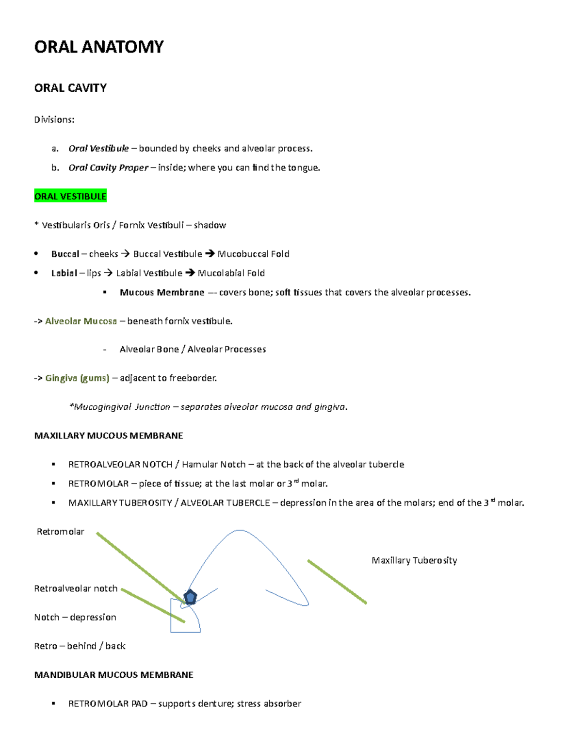 Oral Anatomy Notes - ORAL ANATOMY ORAL CAVITY Divisions: a. Oral ...