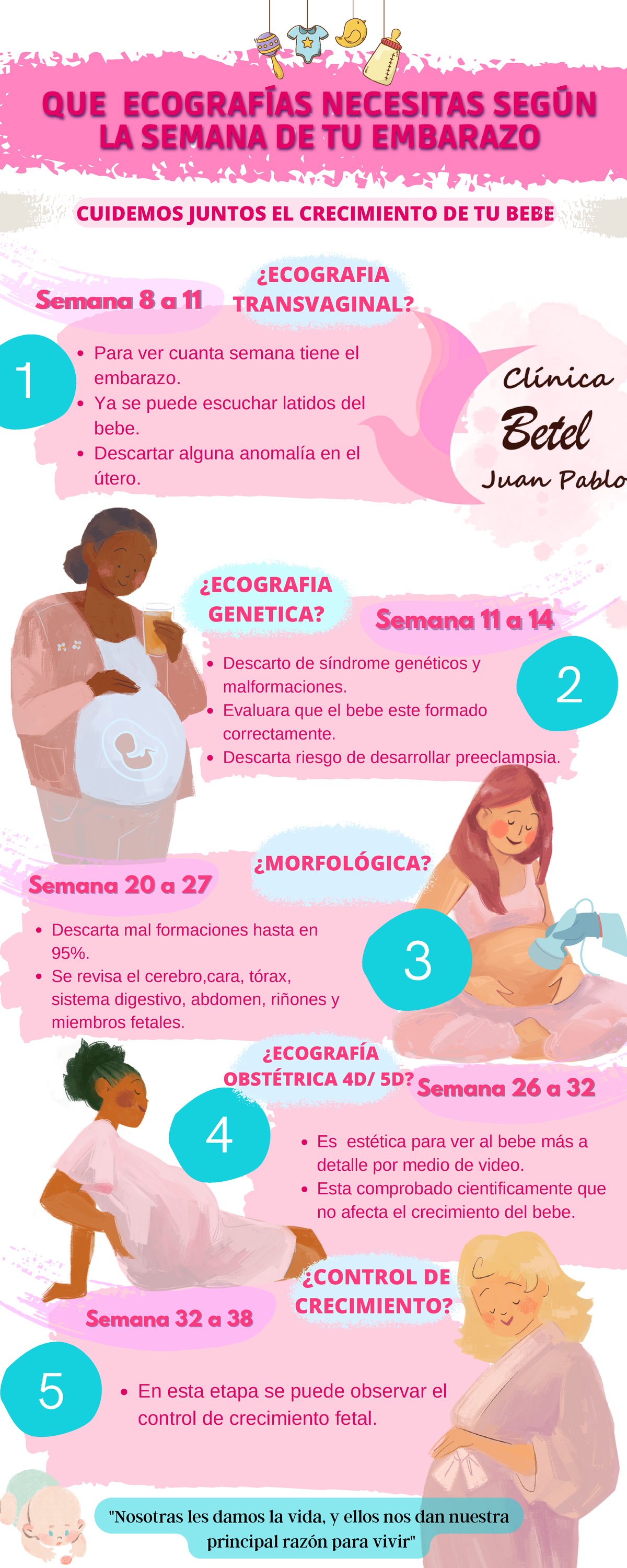 Peach Minimal Maternity Pregnancy Stretch Marks Infographic - Semana 32 ...