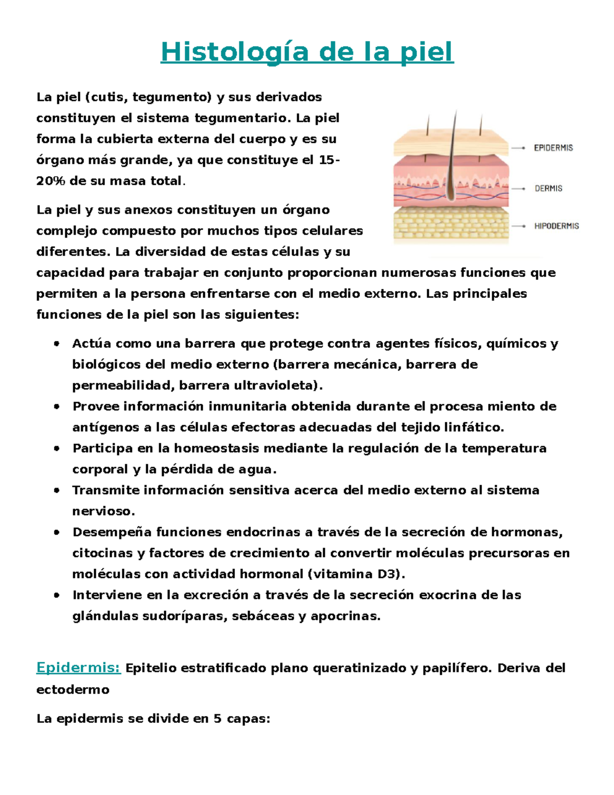 Histología de la piel - ... - Histología de la piel La piel (cutis ...