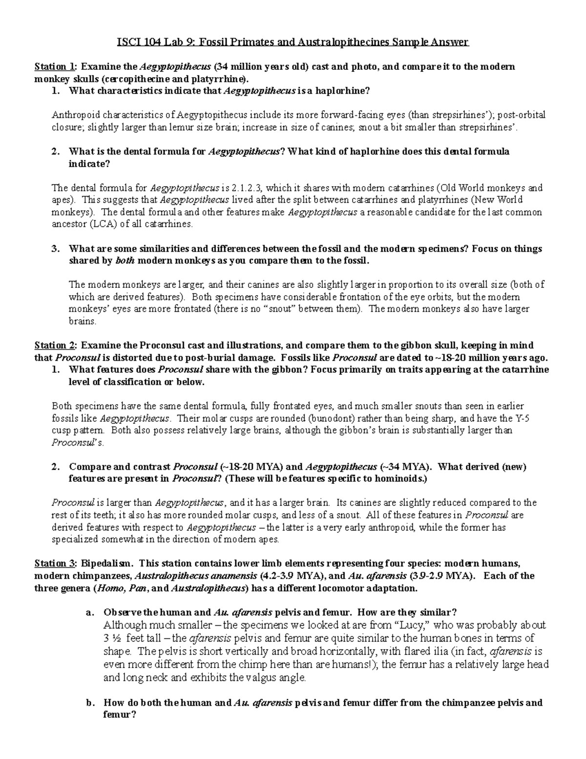 Isci 104 Lab 9 Fossil Primates And Australopithecines Stand Alone Sample Answer Isci 104 Lab 9