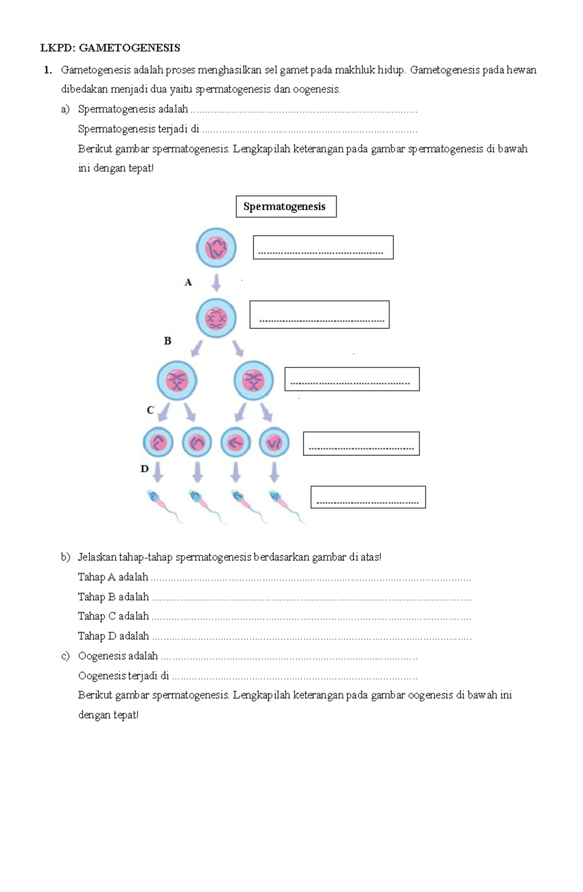 LKPD Gametogenesis - Cell reproduction - LKPD: GAMETOGENESIS Gametogenesis adalah proses - Studocu