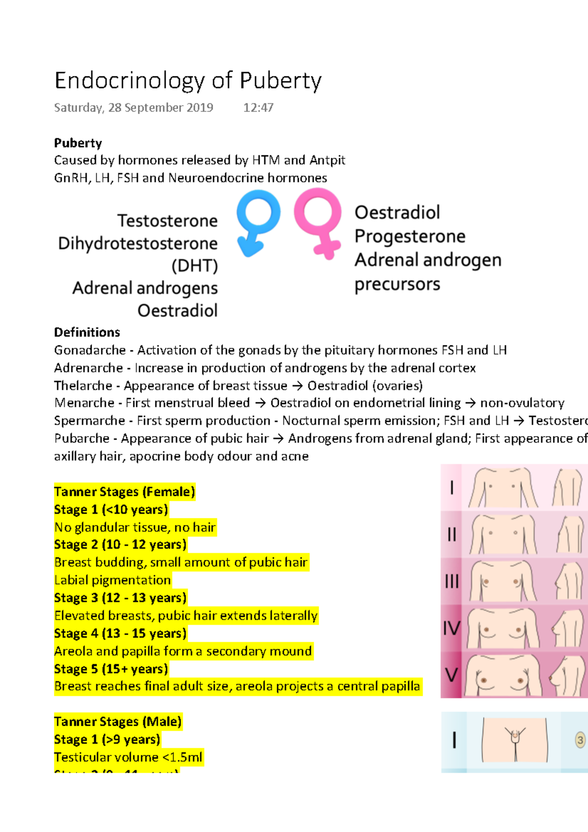 Endocrinology of Puberty - Puberty Caused by hormones released by HTM ...
