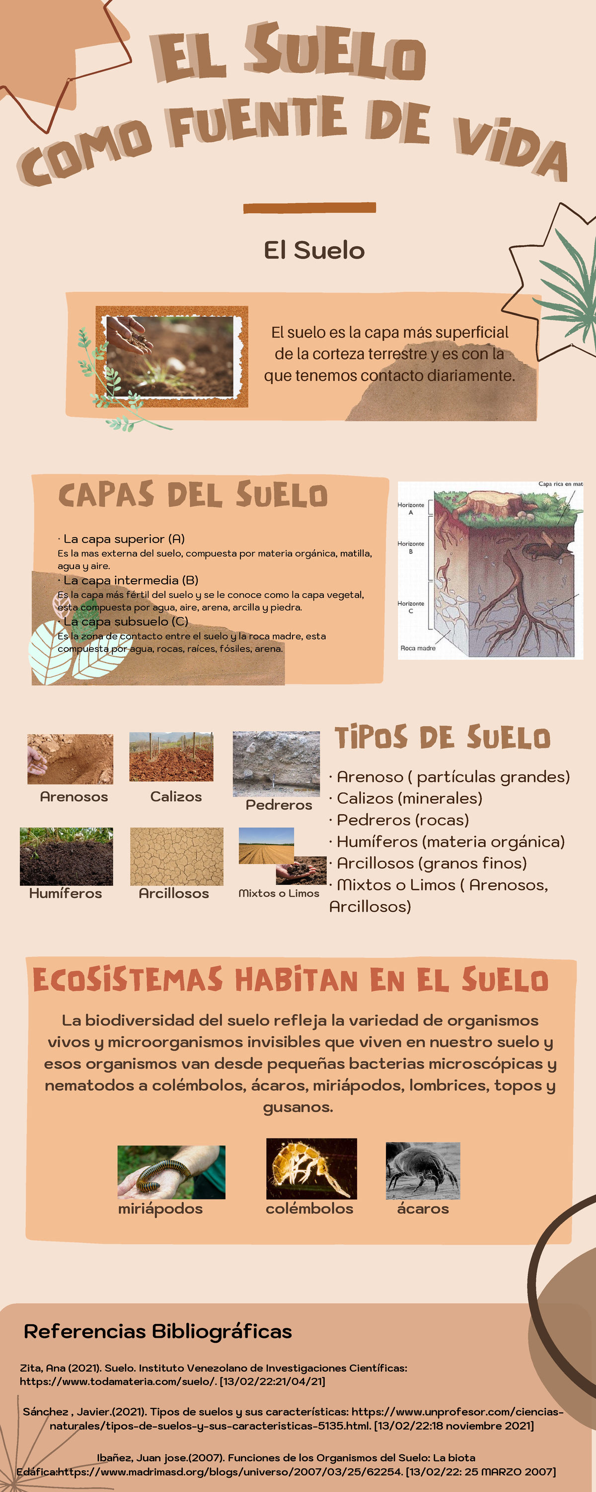 El suelo - iiiiii - EL SUELO CAPAS DEL SUELO · La capa superior (A) Es ...