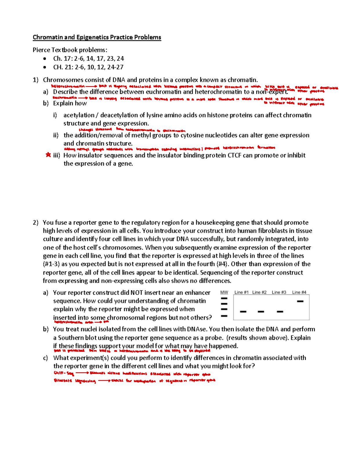 Chromatin and Epigenetics Problems - Chromatin and Epigenetics Practice ...