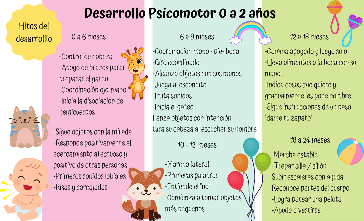 Desarrollo Psicomotor 0 a 5 años - 12 a 18 meses -Sigue objetos con la ...