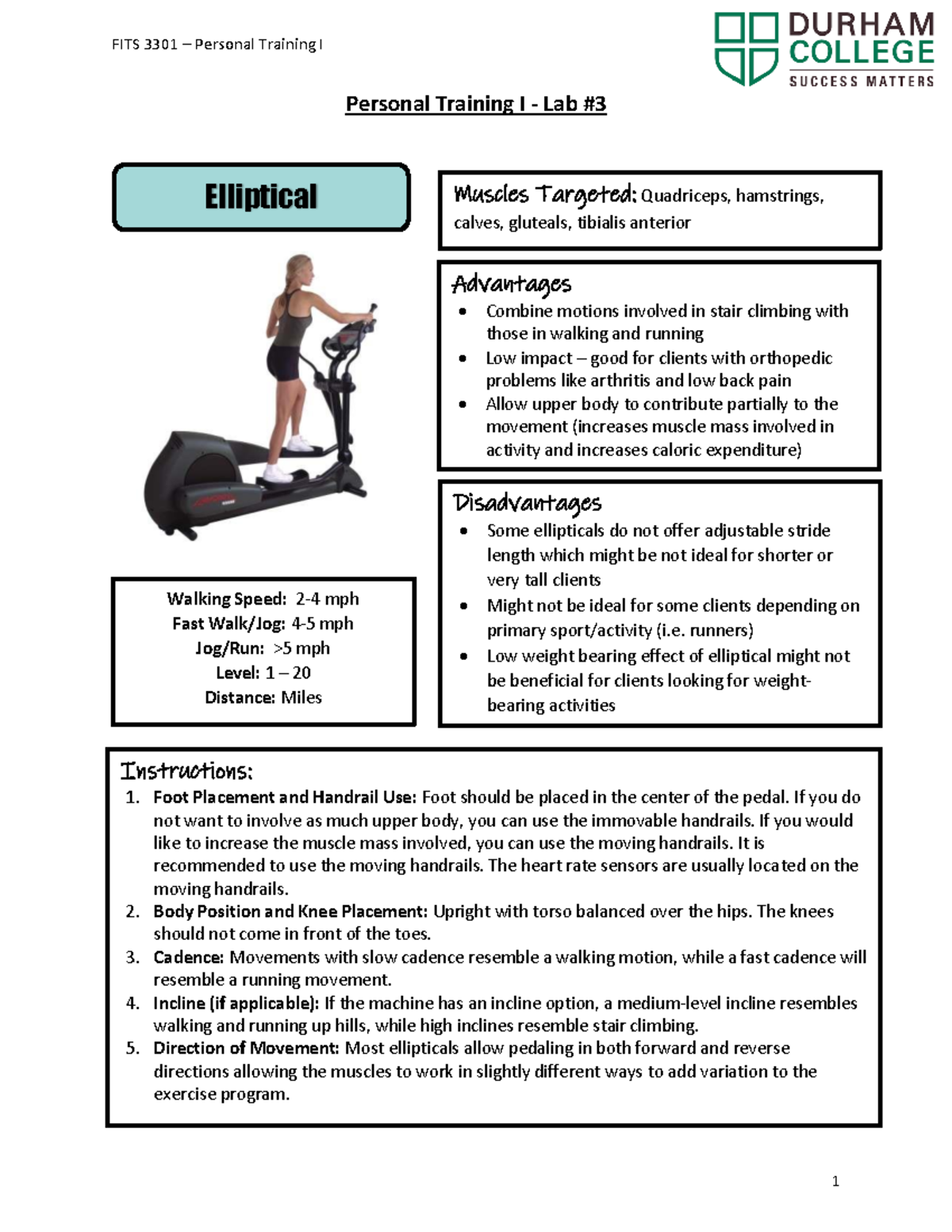 Lab 3 Handout - Personal Training I - Lab Muscles Targeted: Quadriceps ...