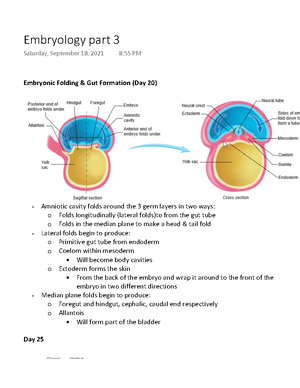 Case study instructions - INSTRUCTION SHEET FOR Kin 1A03/1Y03/2Y03 CASE ...