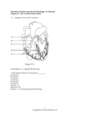Ehap12e ch 05 test bank - Human Anatomy test bank. - Essentials of ...