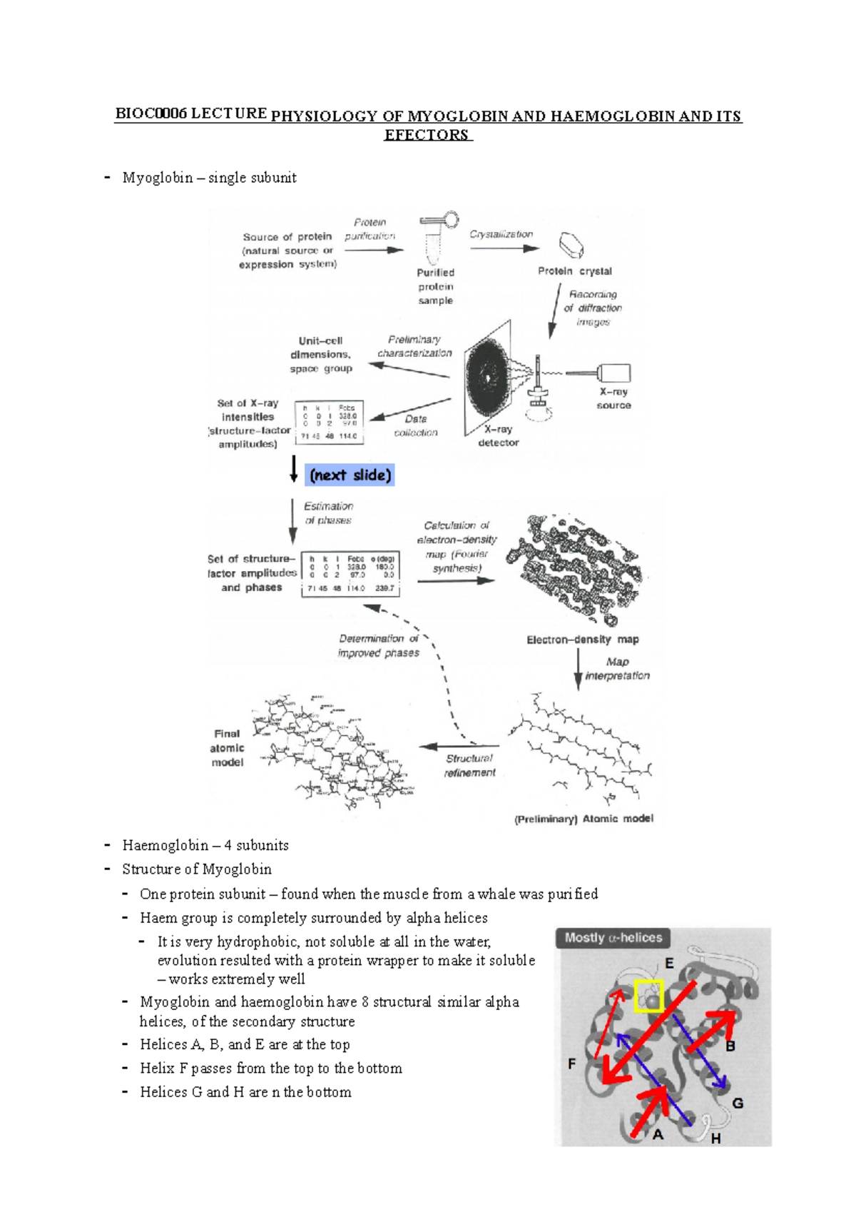 BIOC0006 Lecture Haemoglobin - BIOC0006 LECTURE PHYSIOLOGY OF MYOGLOBIN ...
