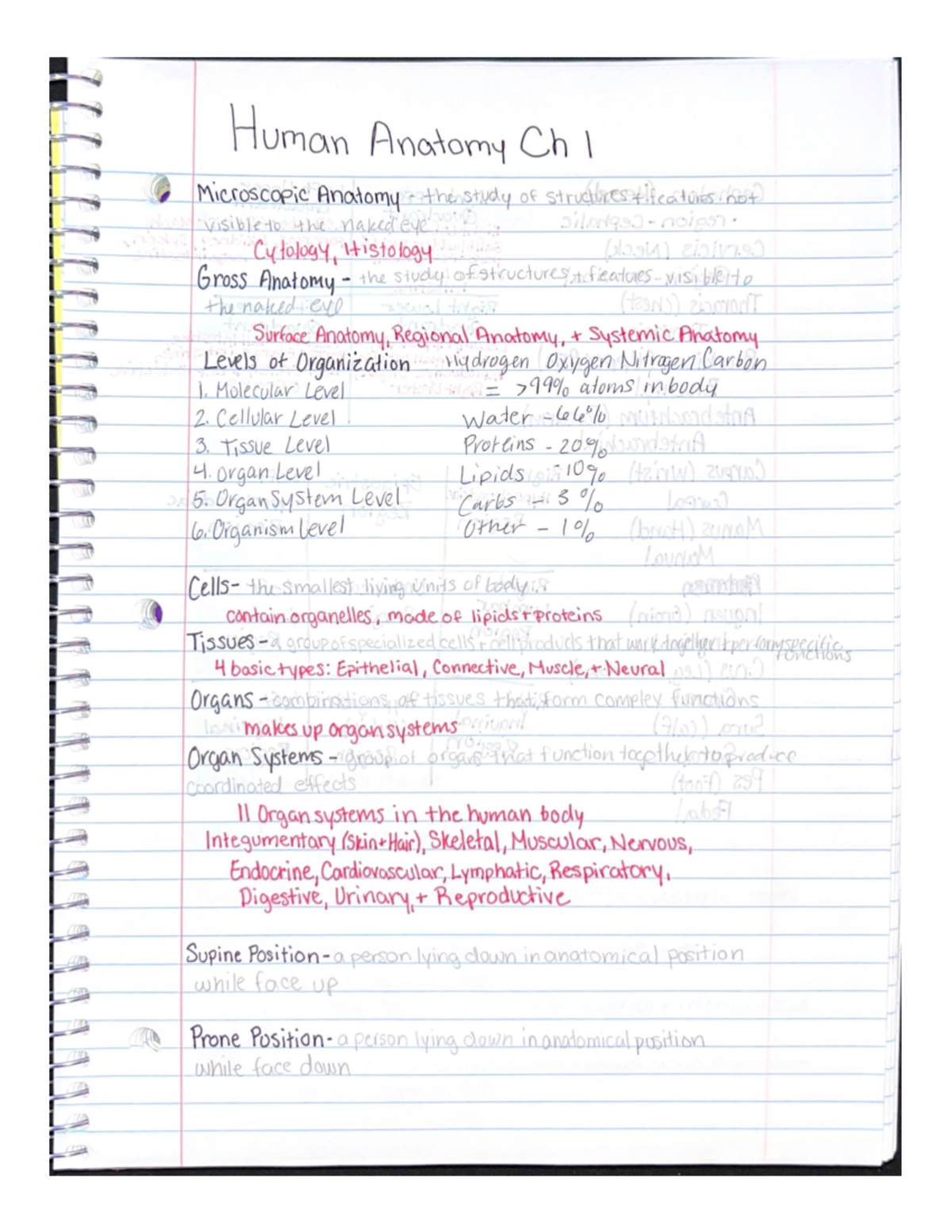 Chapter 1 Notes - BIOL 030 - Studocu