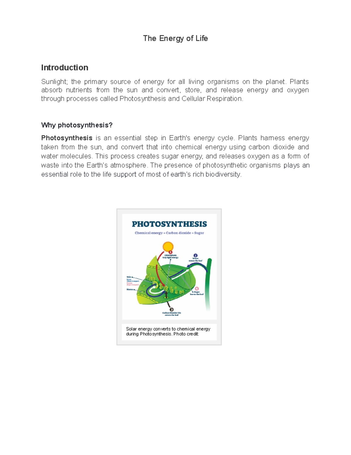 The Energy of Life - Photosynthesis vs Cellular Respiration - The ...