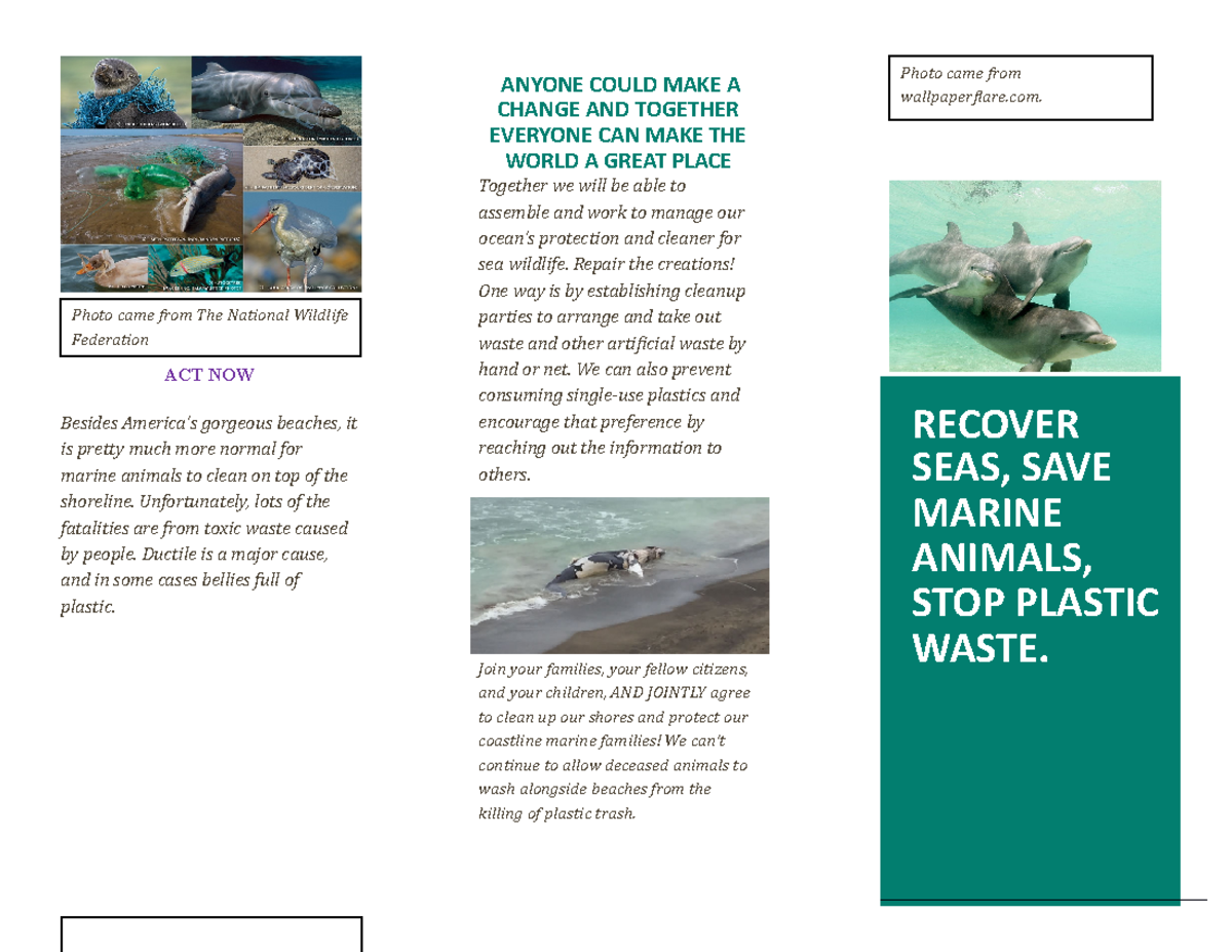 Week 5 of BIO - Homework - ACT NOW Besides America’s gorgeous beaches ...