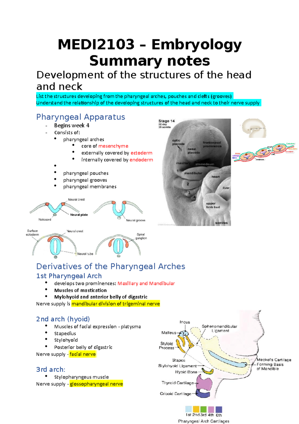 MEDI2103- Embryology - MEDI2103 – Embryology Summary notes Development ...