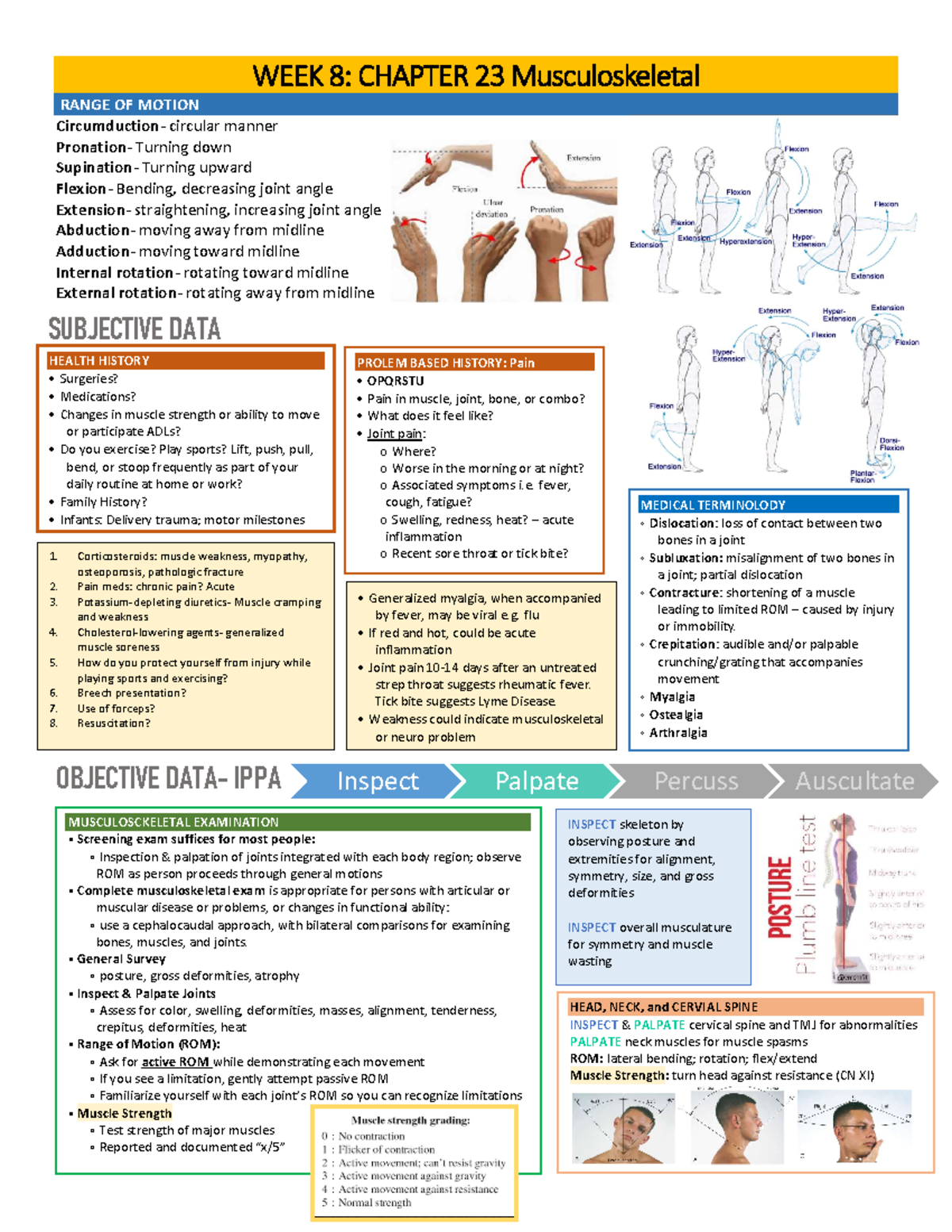 Musculoskeletal Notes - WEEK 8 : CHAPTER 23 Musculoskeletal RANGE OF ...