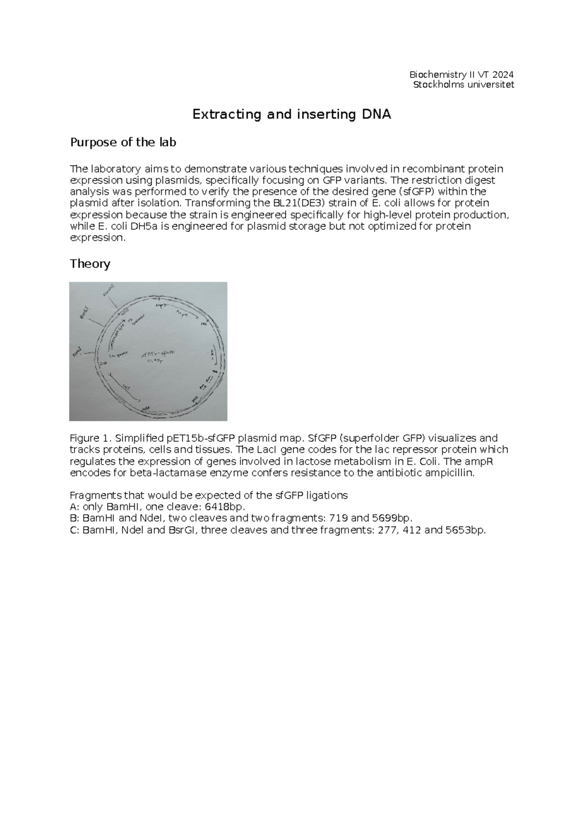Lab 2 DNA - Biochemistry II VT 2024 Stockholms universitet Extracting ...