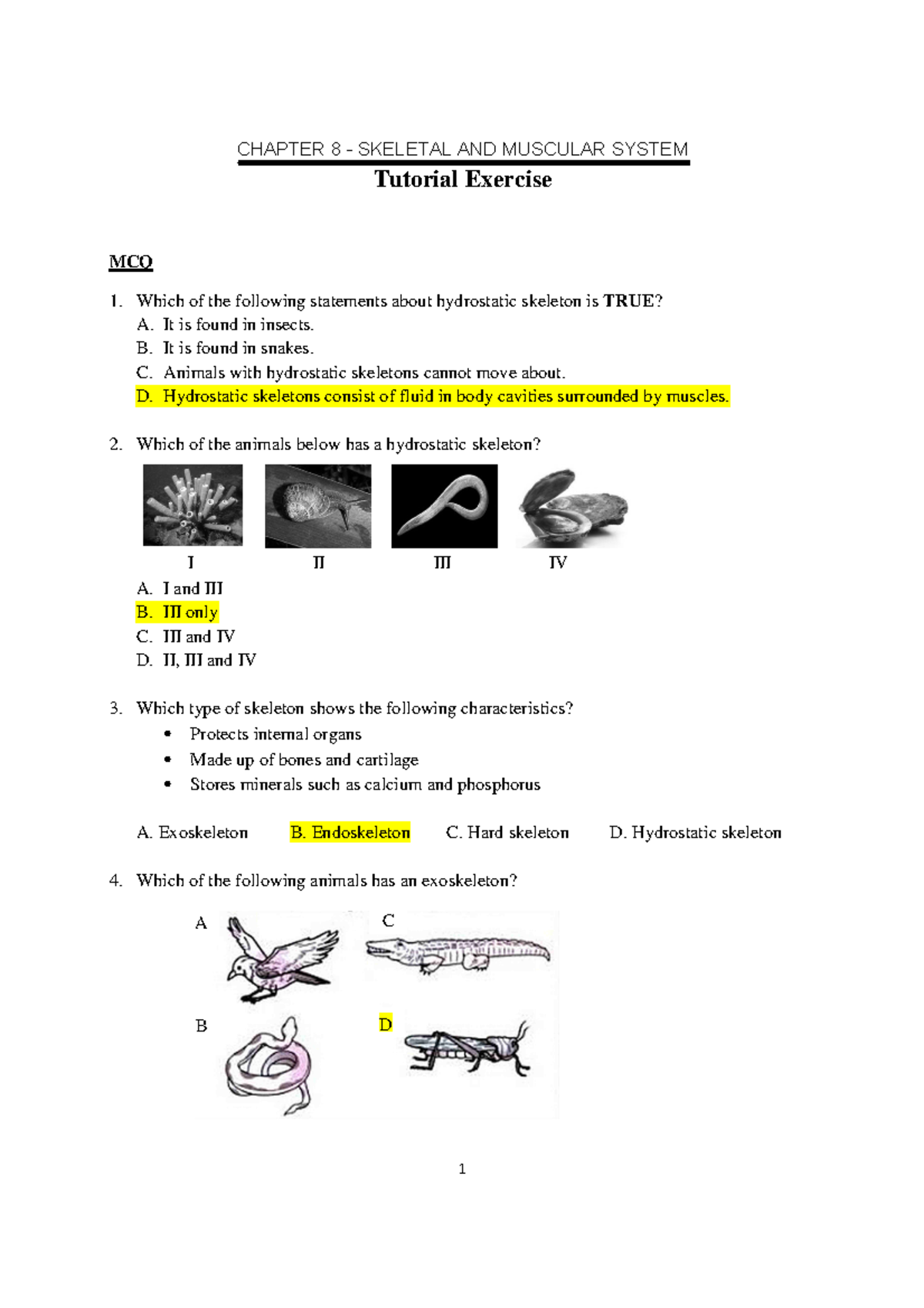 Answer Tutorial 8 Skeletal AND Muscular System - 1 Tutorial Exercise Topic 1 Skeletal and ...