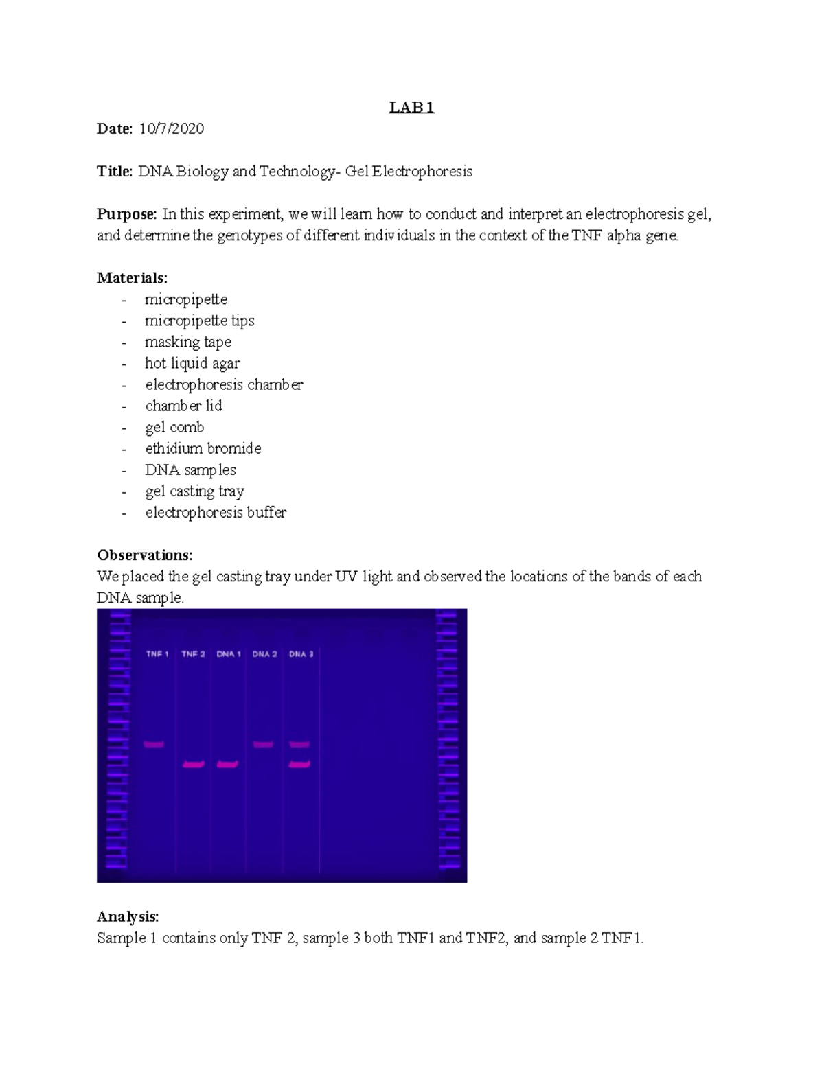 DNA Isolation and Gel Electrophoresis - LAB 1 Date: 10/7/ Title: DNA ...