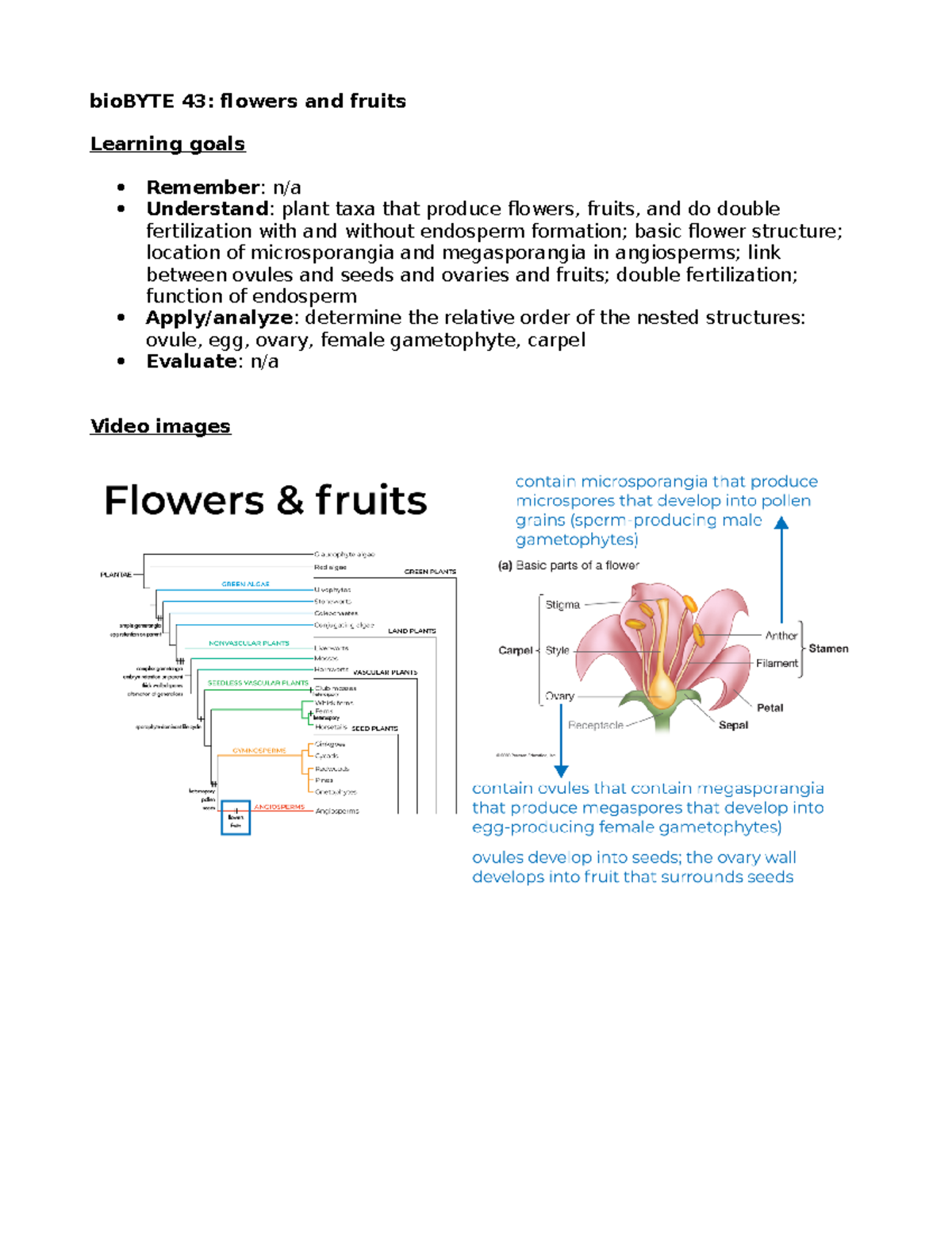 1802.Notes guide.bio BYTE 43 - bioBYTE 43: flowers and fruits Learning ...