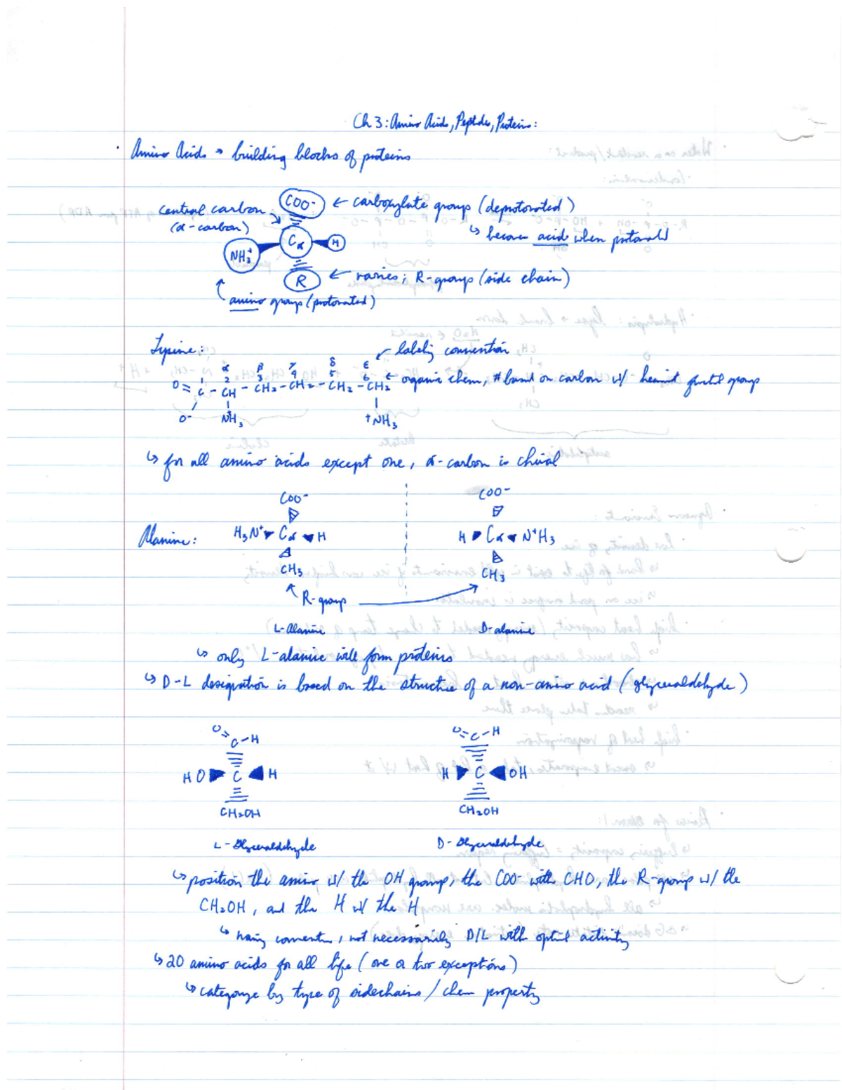 Chapter 3 notes - BIOL 1013 - Studocu