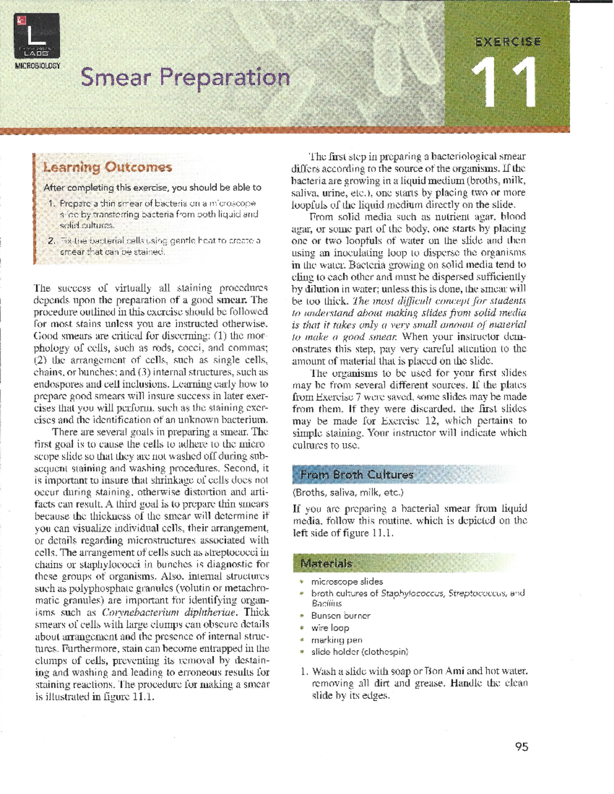 Preparing a slide smear Simple Staining - L EXERCISE LABS MICROBIOLOGY ...