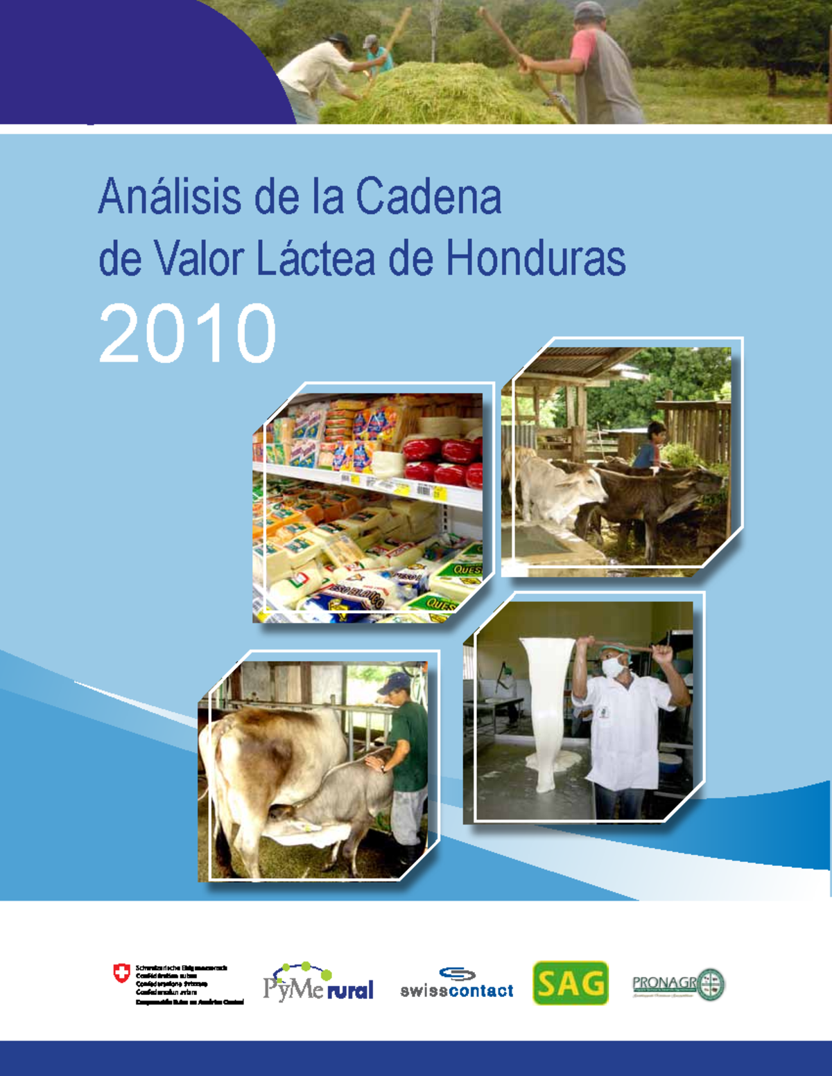 Analisis de la Cadena Lactea en Honduras - 2010 Análisis de la Cadena ...