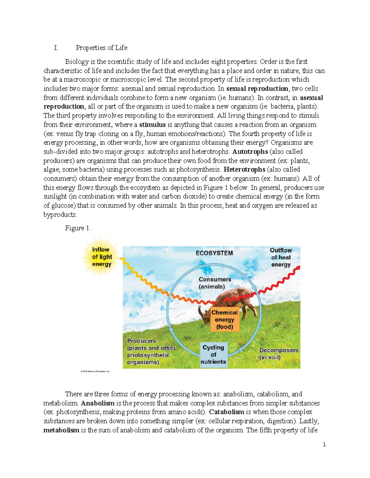Biology - Study of Life BB 2020 - I. Properties of Life Biology is the ...