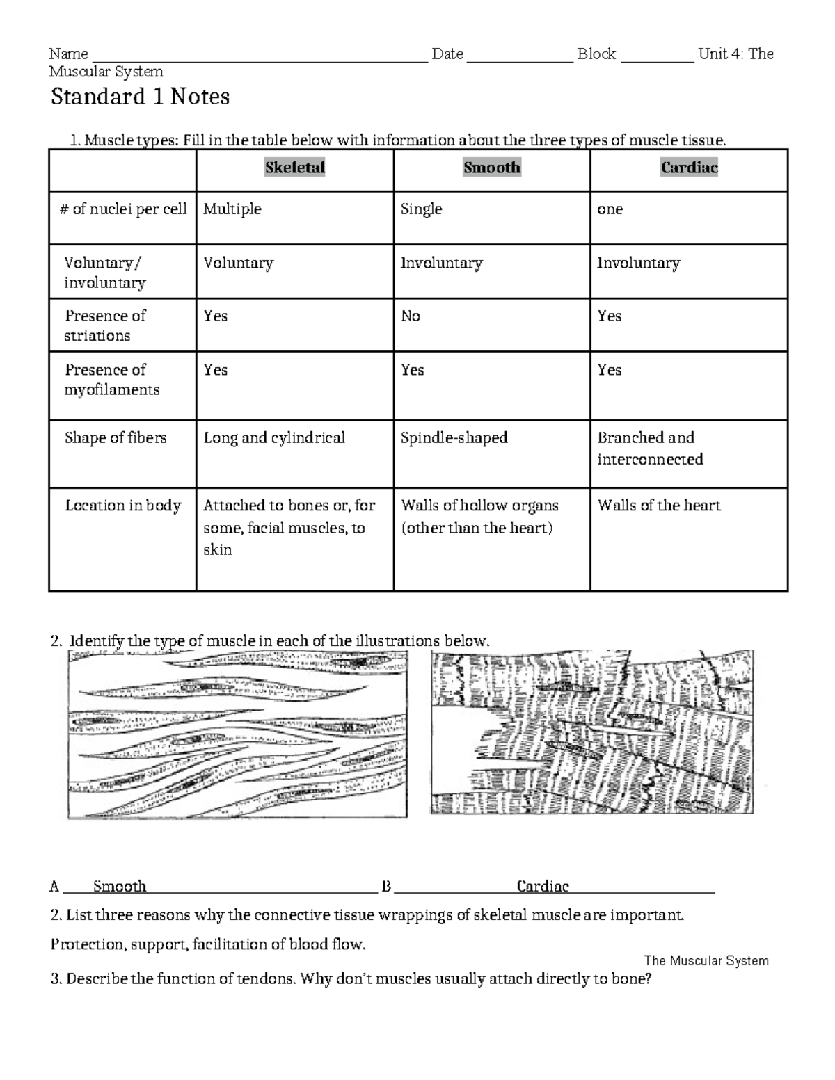 Std 1 Textbook Notes Muscle Tissues - Name ...