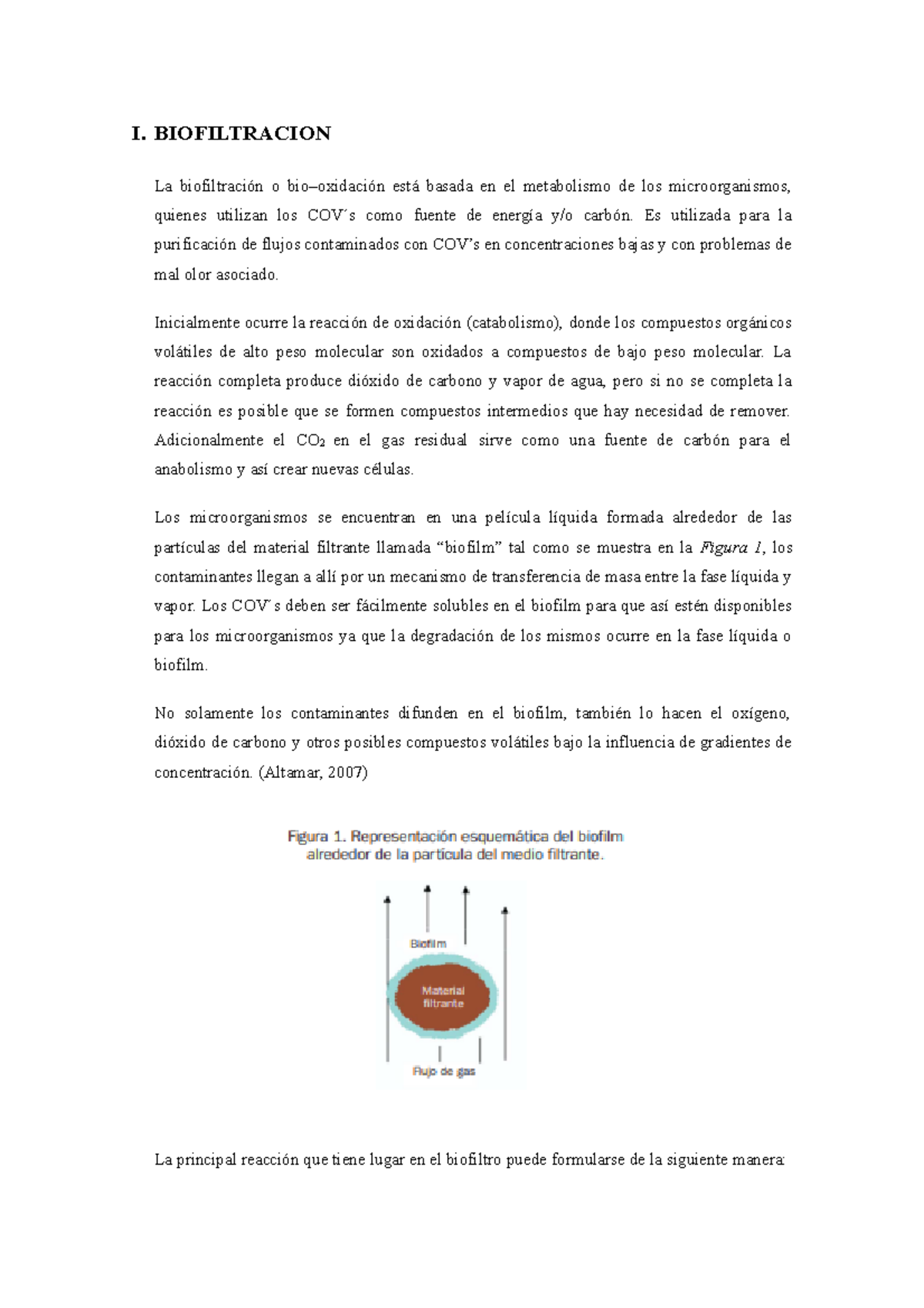 Biopulping - I. BIOFILTRACION La biofiltración o bio–oxidación está ...