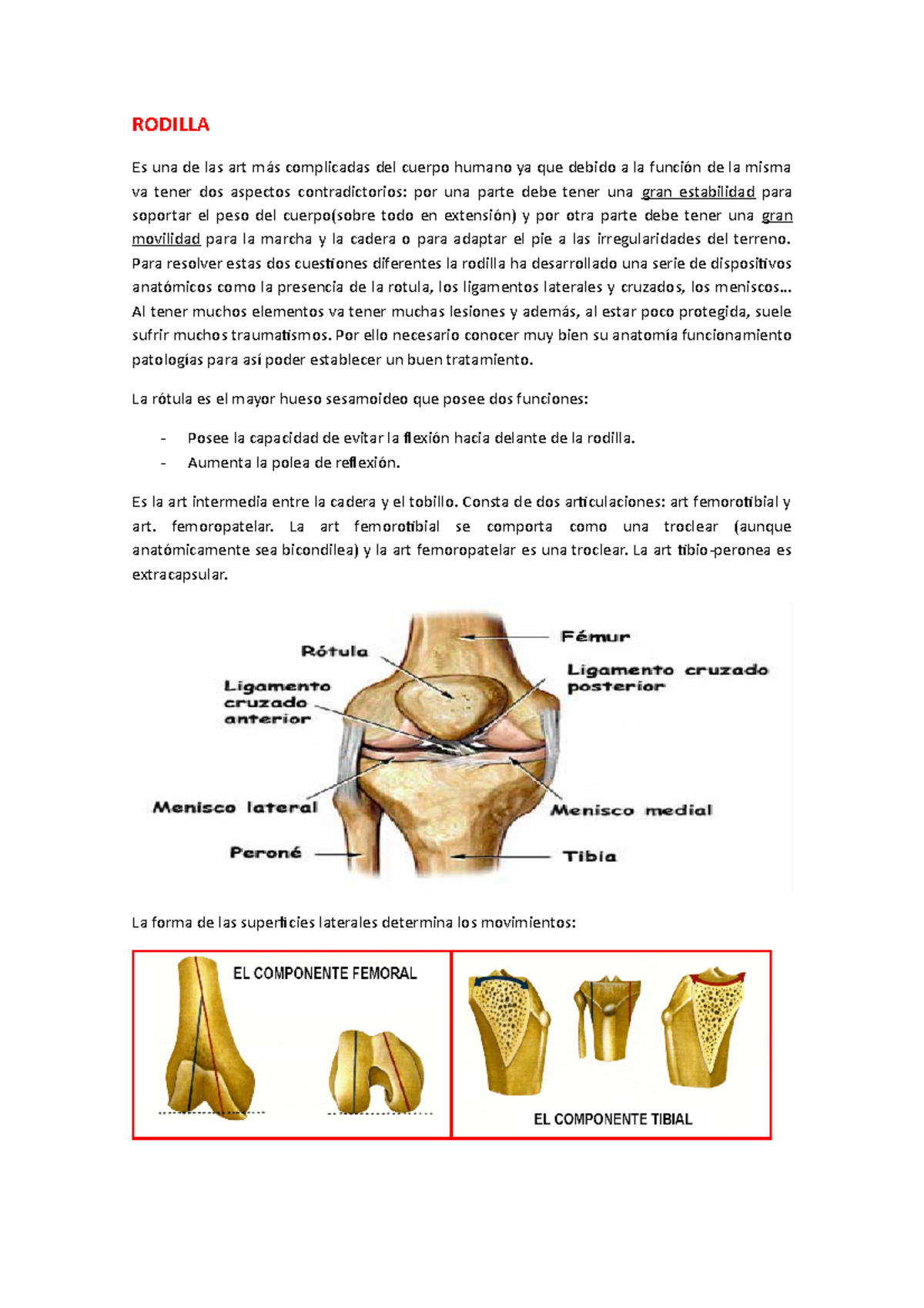 Rodilla - RODILLA Es una de las art más complicadas del cuerpo humano ...