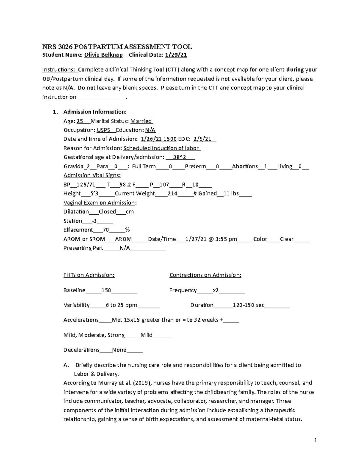 Postpartum Assessment Tool for Clinical - NRS 3026 POSTPARTUM ...