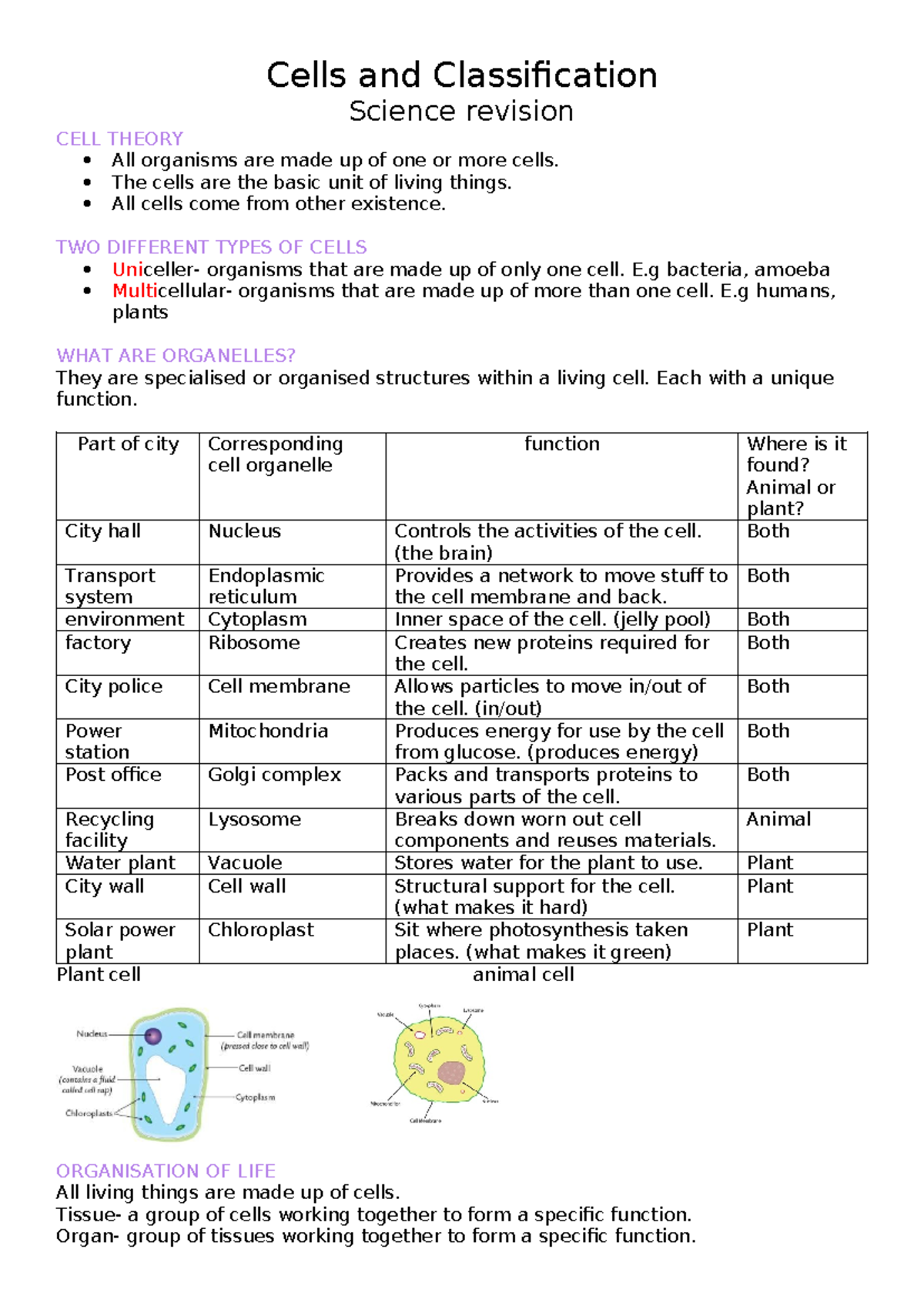 Cells and Classification - Cells and Classification Science revision ...
