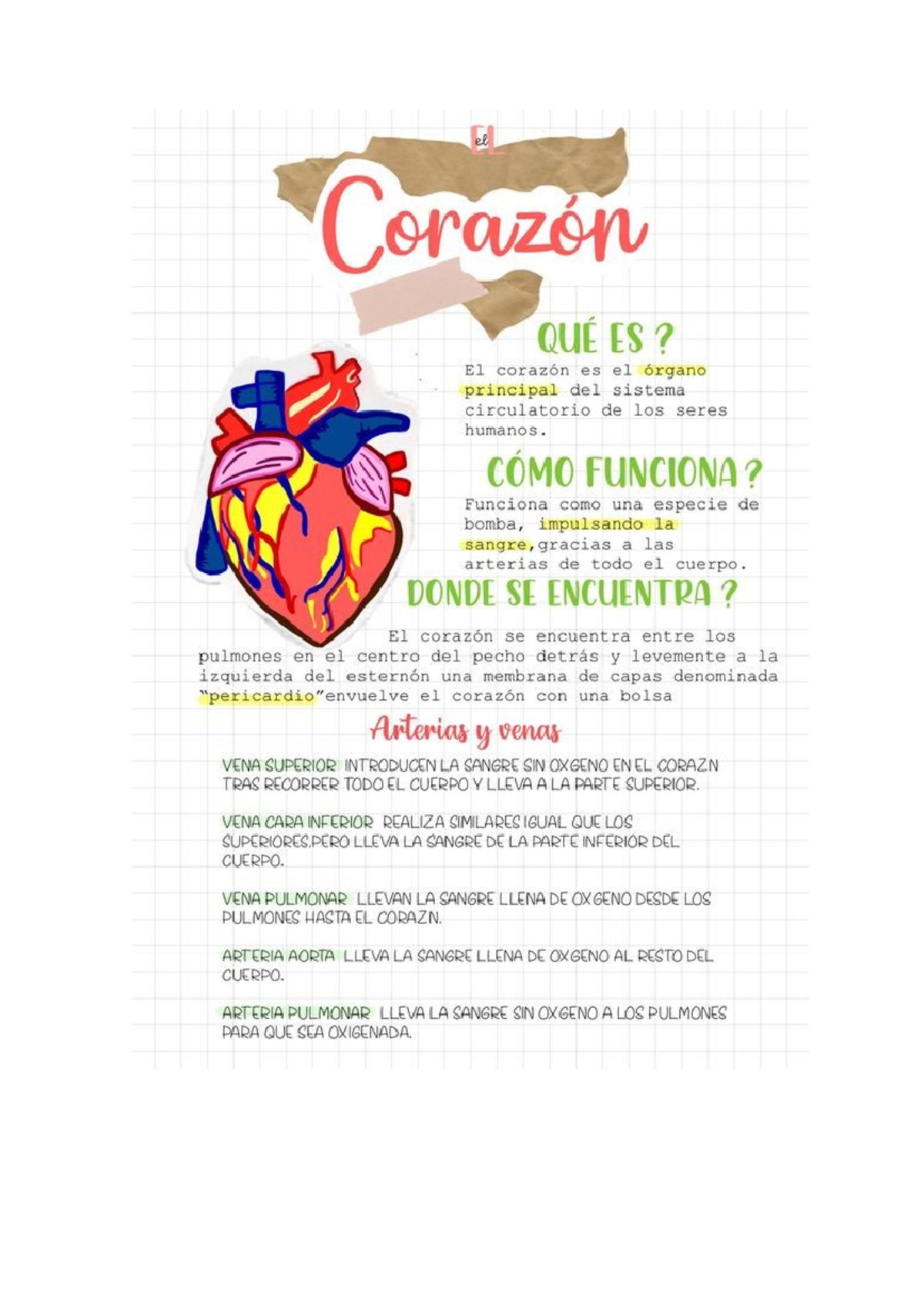 Caardiologia - apuntes básicos de cardiología - Corazon QUÉ ES ? El ...